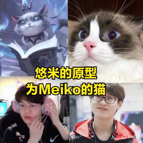 【英雄联盟】大家都错怪猫咪了！Meiko回应冠军皮肤选择：一开始选的就是猫咪-3楼猫