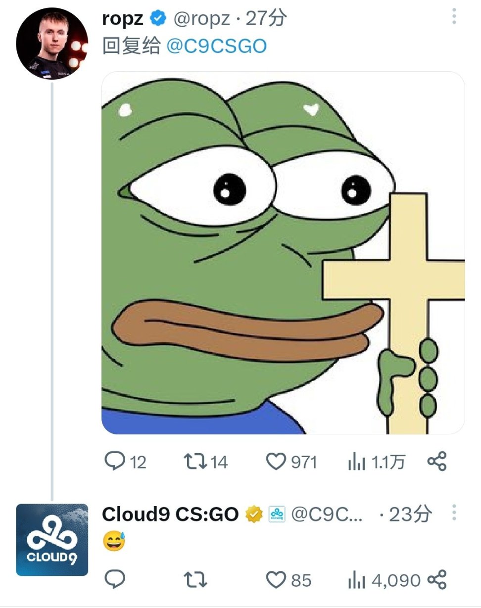 【CS:GO】深水炸弹!C9正式官宣电子哥与P元帅加盟!-3楼猫