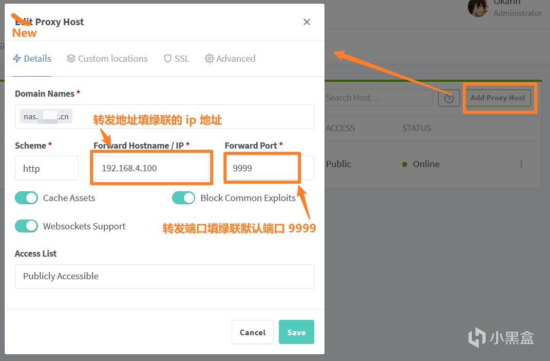 绿联 NAS 域名直连 DDNS-Go+IPv6 内网穿透并开启 HTTPS_电玩帮